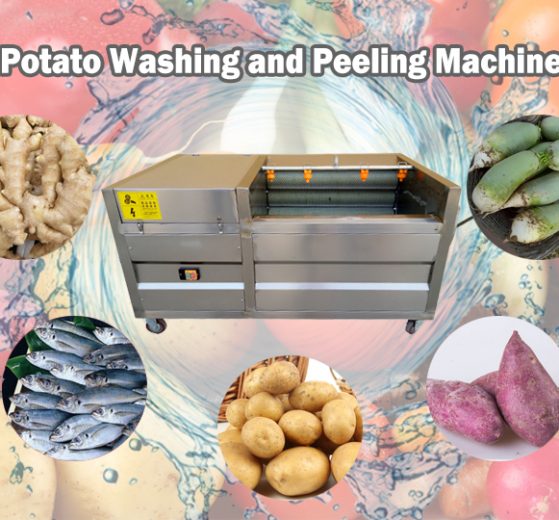 Taizy Machinery Co., Ltd- Create the future of food technology