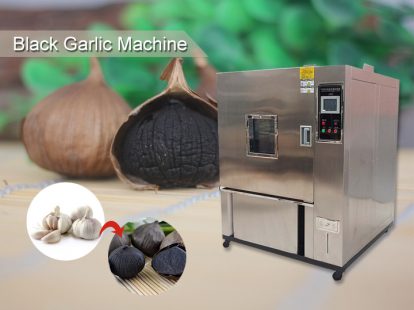 Black Garlic Fermentation Machine & Commercial black garlic machine