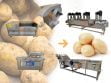 Complete Potato Washing Line Plant | Peeling Slicing Drying Packaging