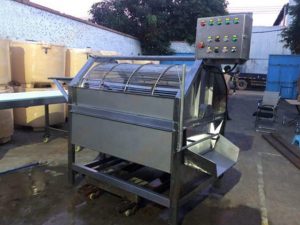 Automatic Fish Scale Removing Machine | Fish Scaler Machine