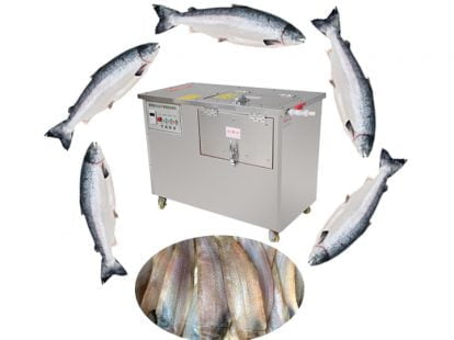 Automatic Fish Scale Removing Machine | Fish Scaler Machine